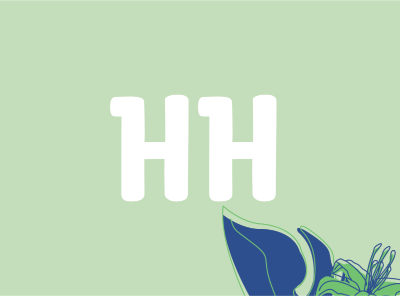 Anthony Buccieri | Dribbble