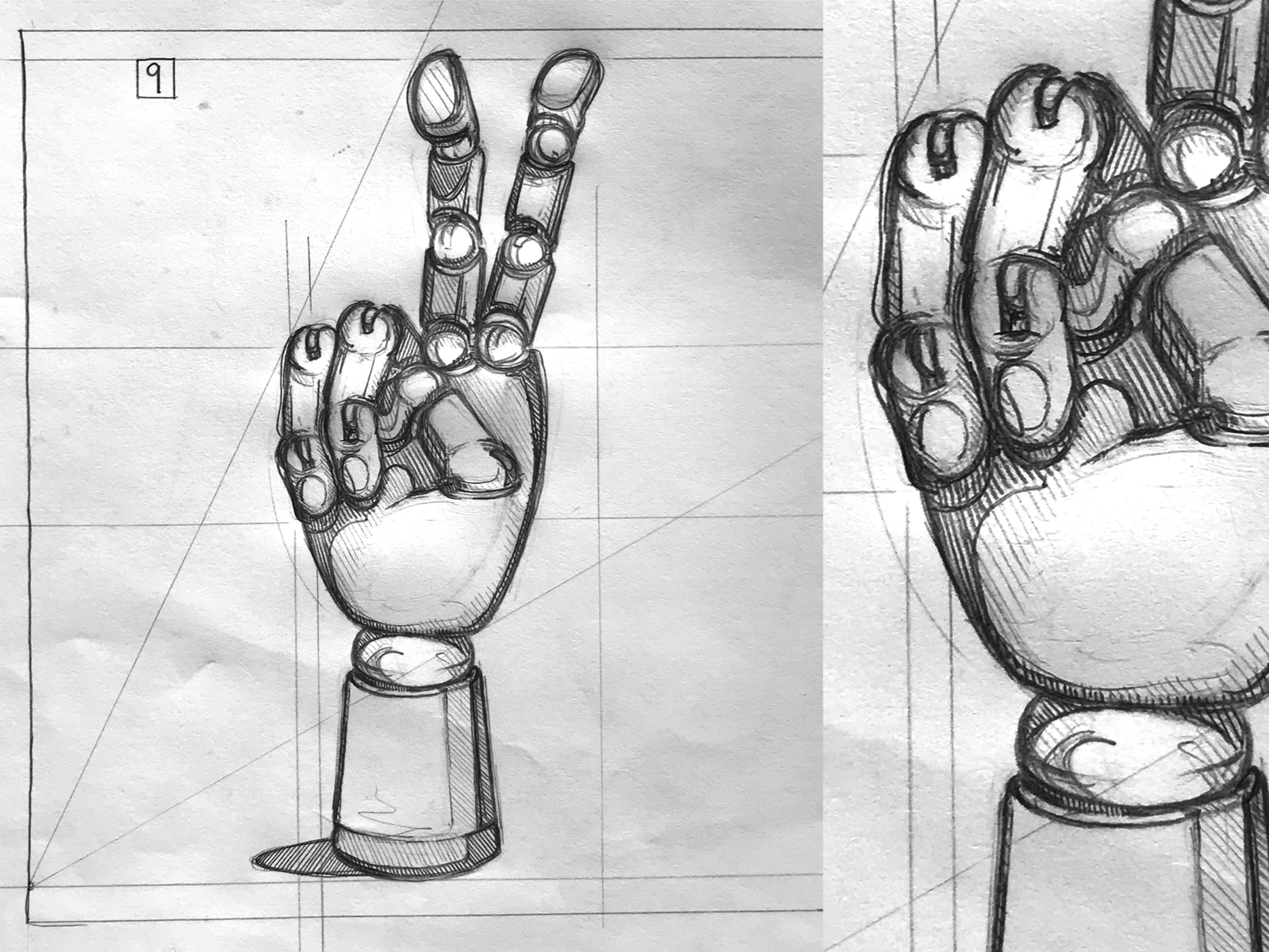 Sketch - hand model by Skylar Thomas on Dribbble