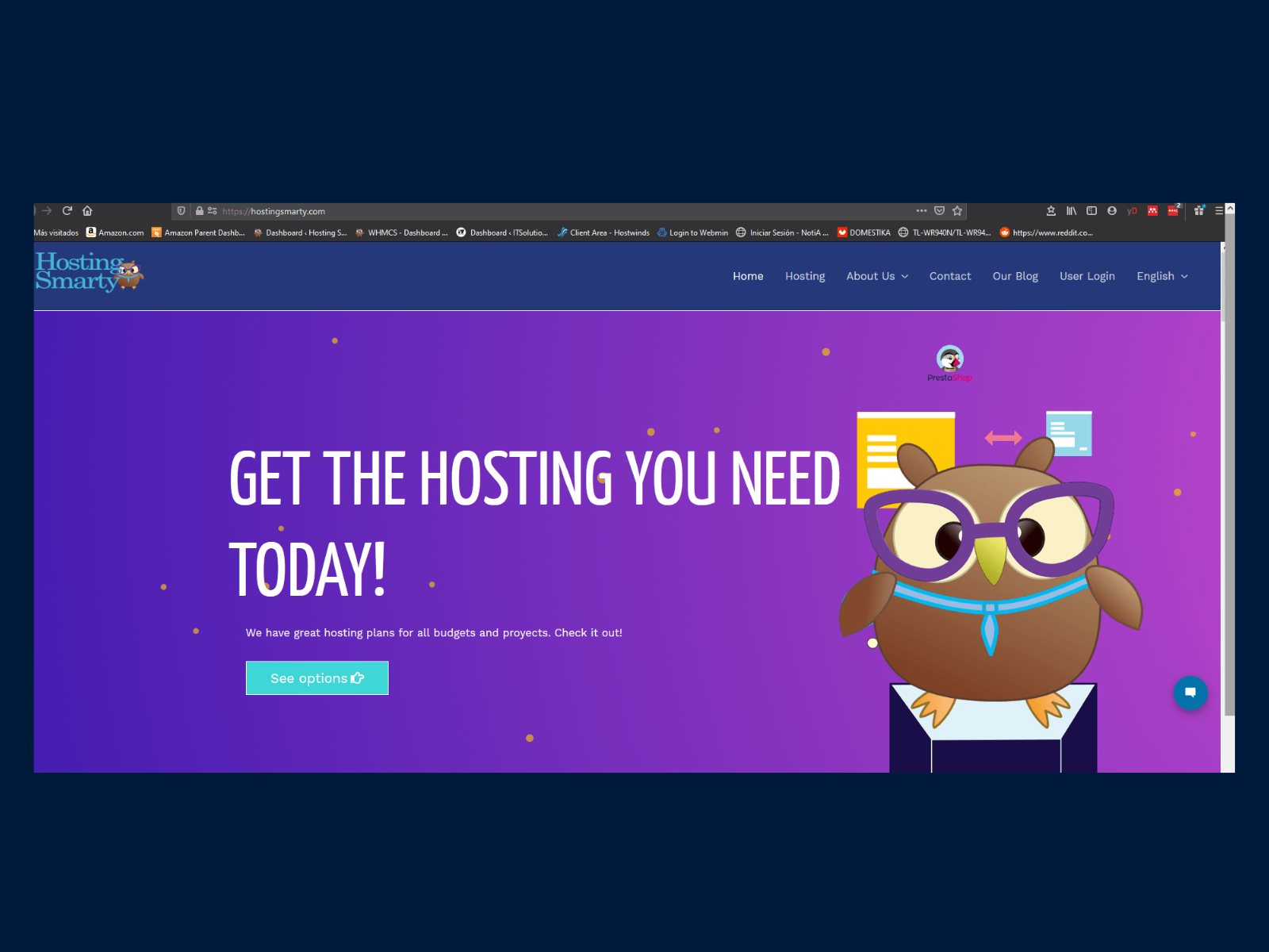 Hosting Smarty Webdesign by Gustavo Jordán on Dribbble
