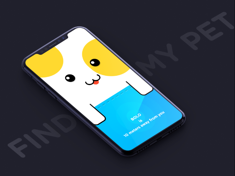 Find My Pet by WaveF on Dribbble