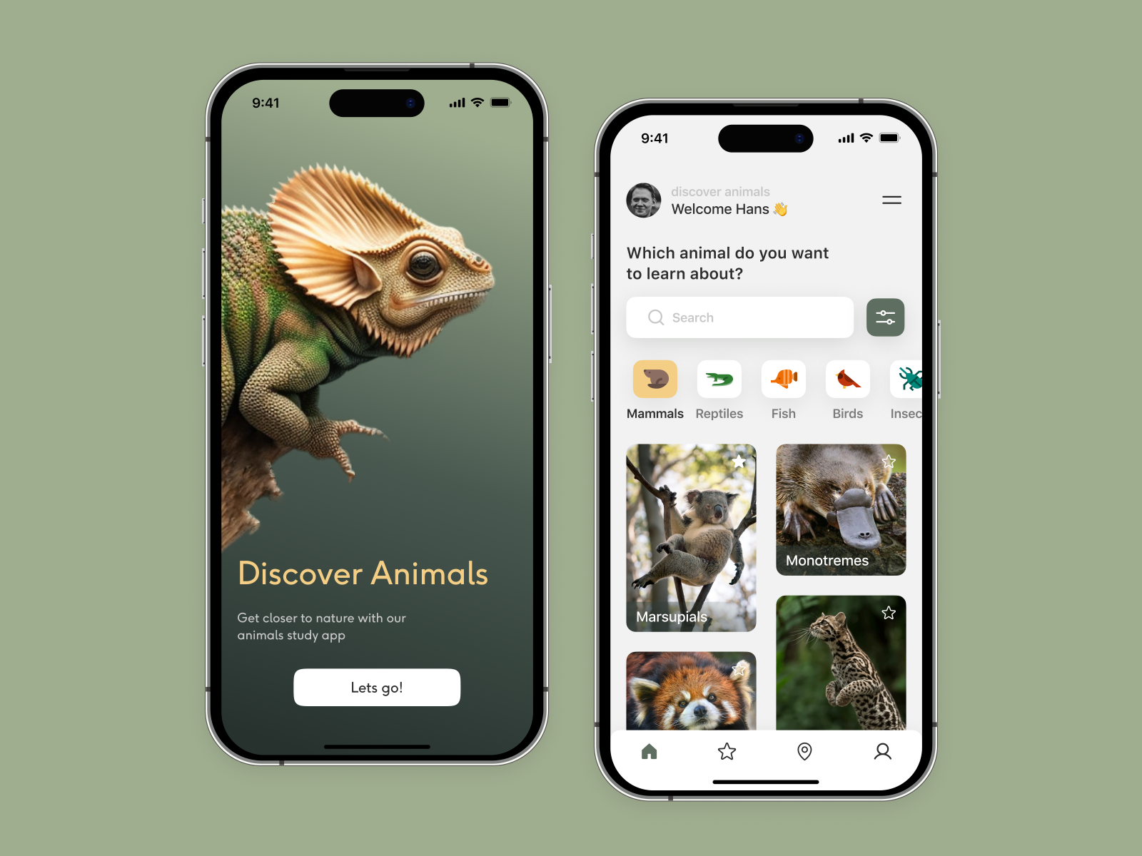 A mobile app for studying animals by Nikita Dankin on Dribbble