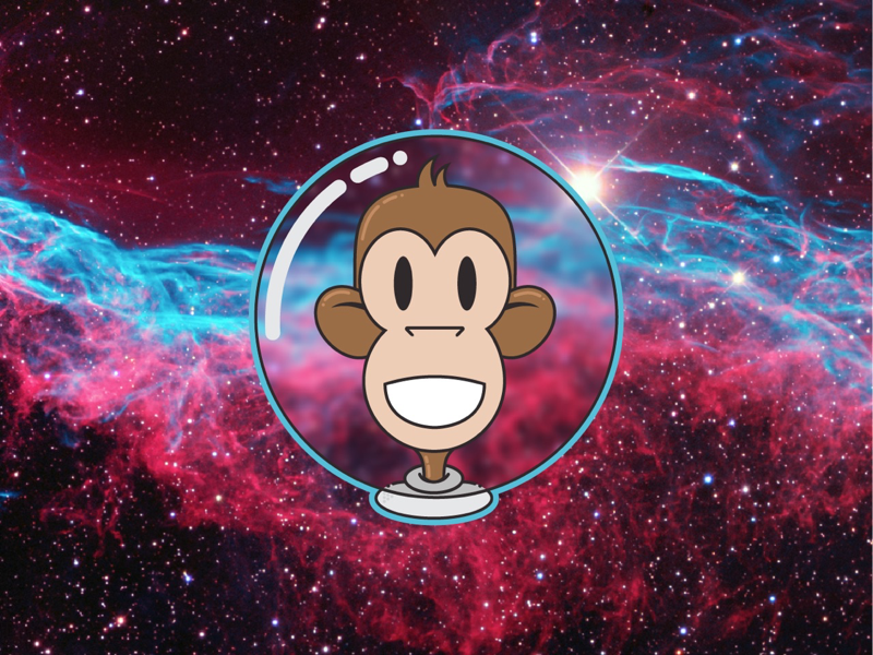 Space Monkey by Andy Hamer on Dribbble