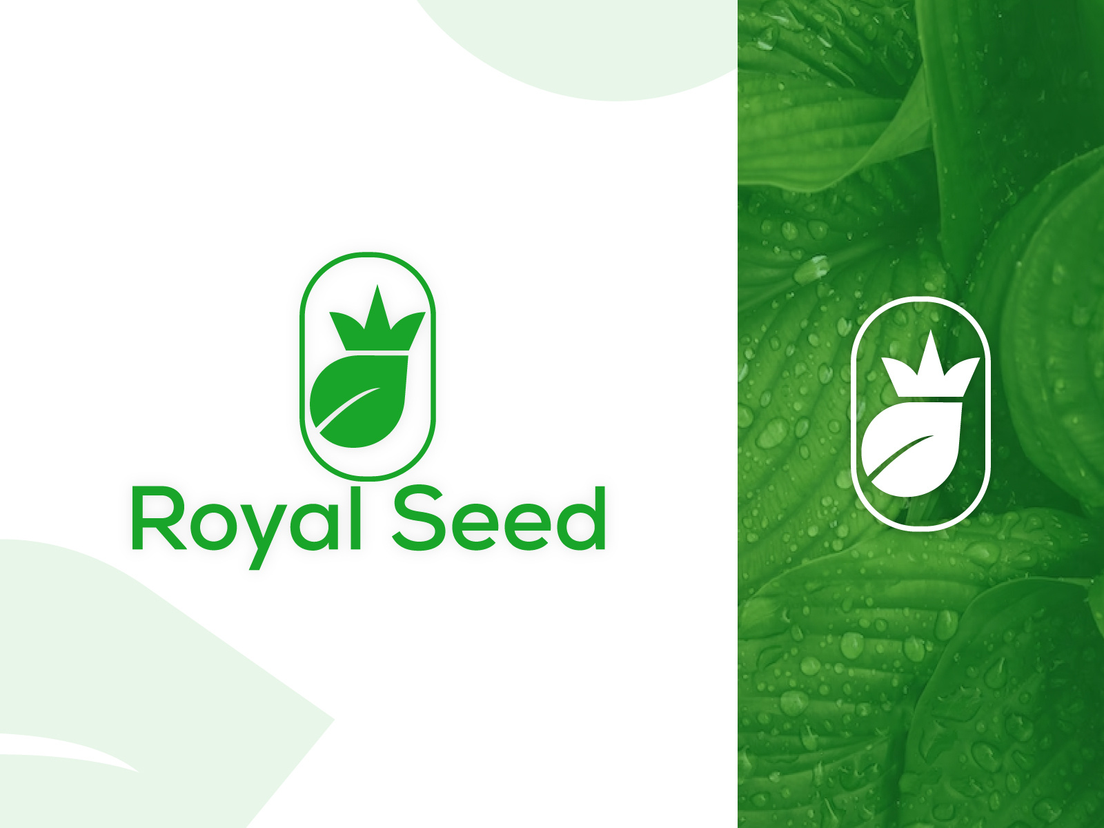 Seed Company Logo by Sumi Akter on Dribbble