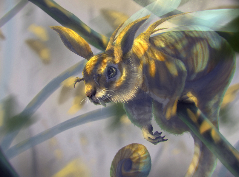 Fantasy Nuts Eater by Nelkaa on Dribbble