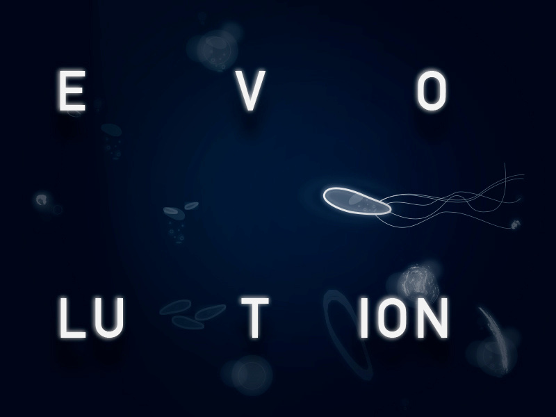 Evolution by Sarah on Dribbble