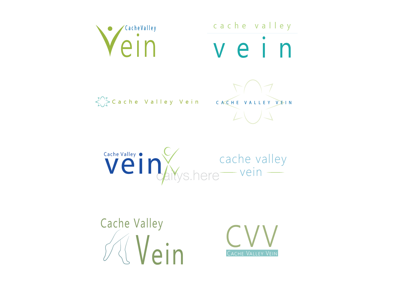 Cache Valley Vein Logos by Caitlyn Hassell on Dribbble
