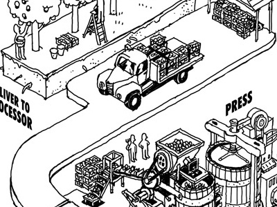 Cider Process1 by Nigel Sussman on Dribbble