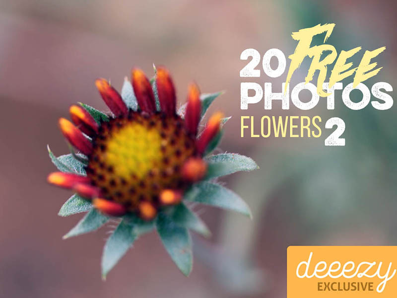 20 FREE Flower Photos 2 by CruzineDesign on Dribbble
