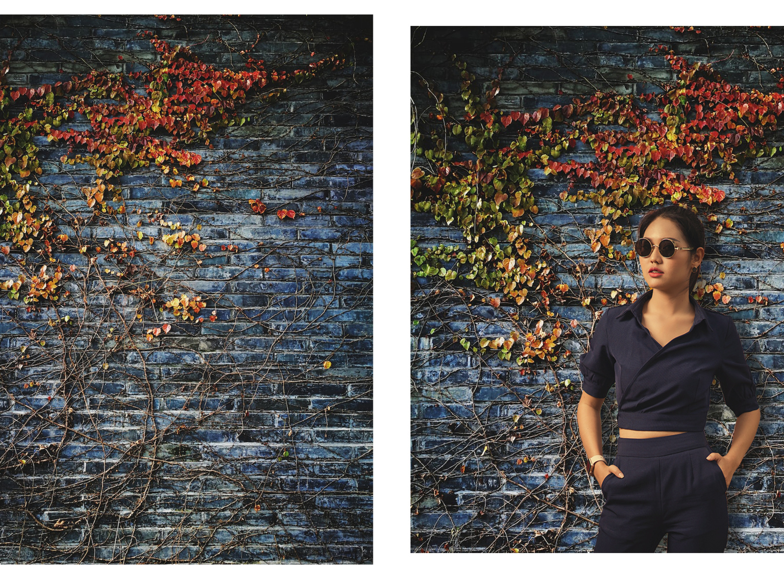 Matched with background by Kunal Sharma on Dribbble