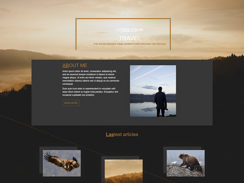 React Modern design by Imran Hussain on Dribbble