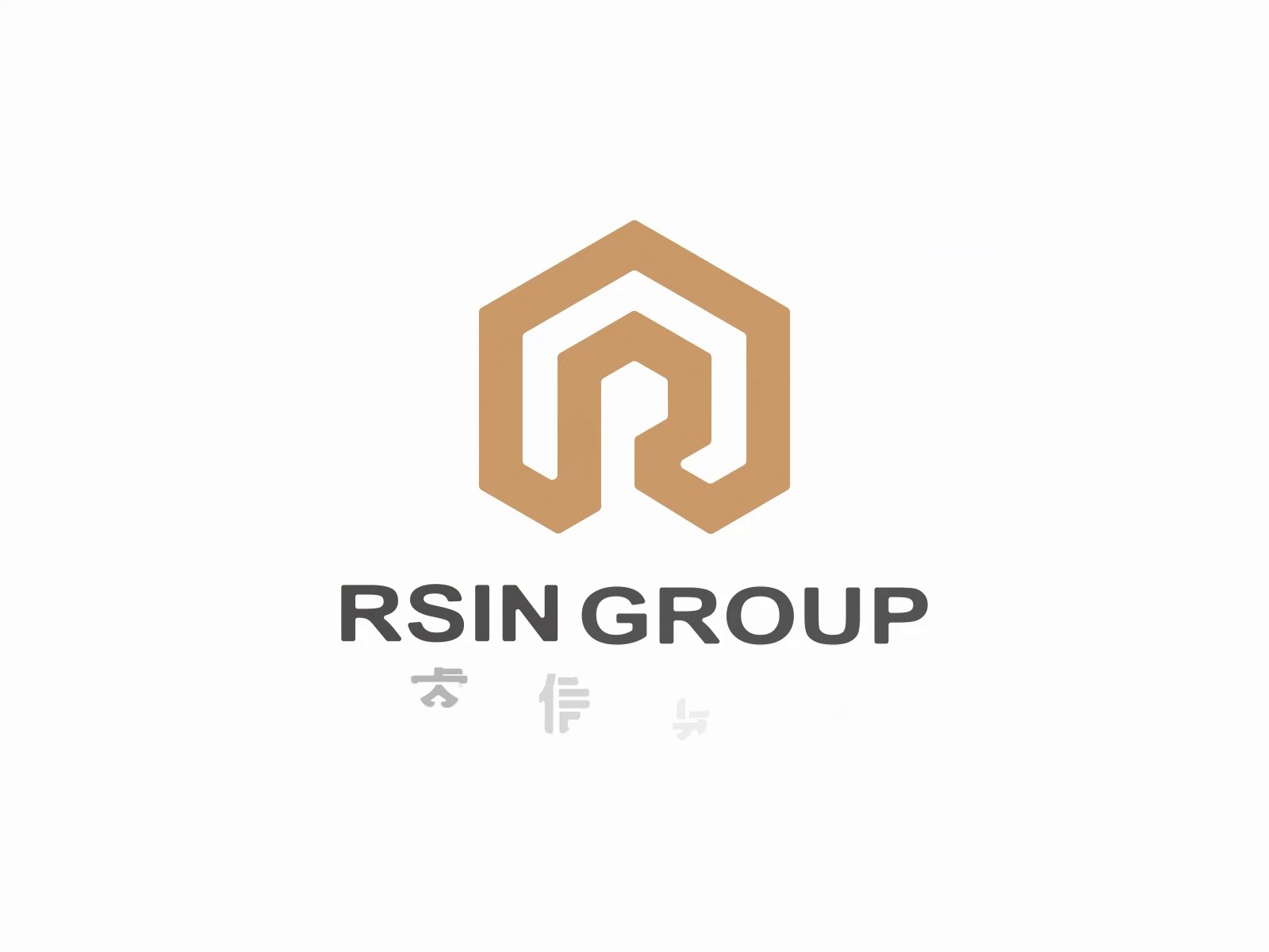 RSIN Group - Logo Animation by Alex Gorbunov for Alex Go & Co on Dribbble