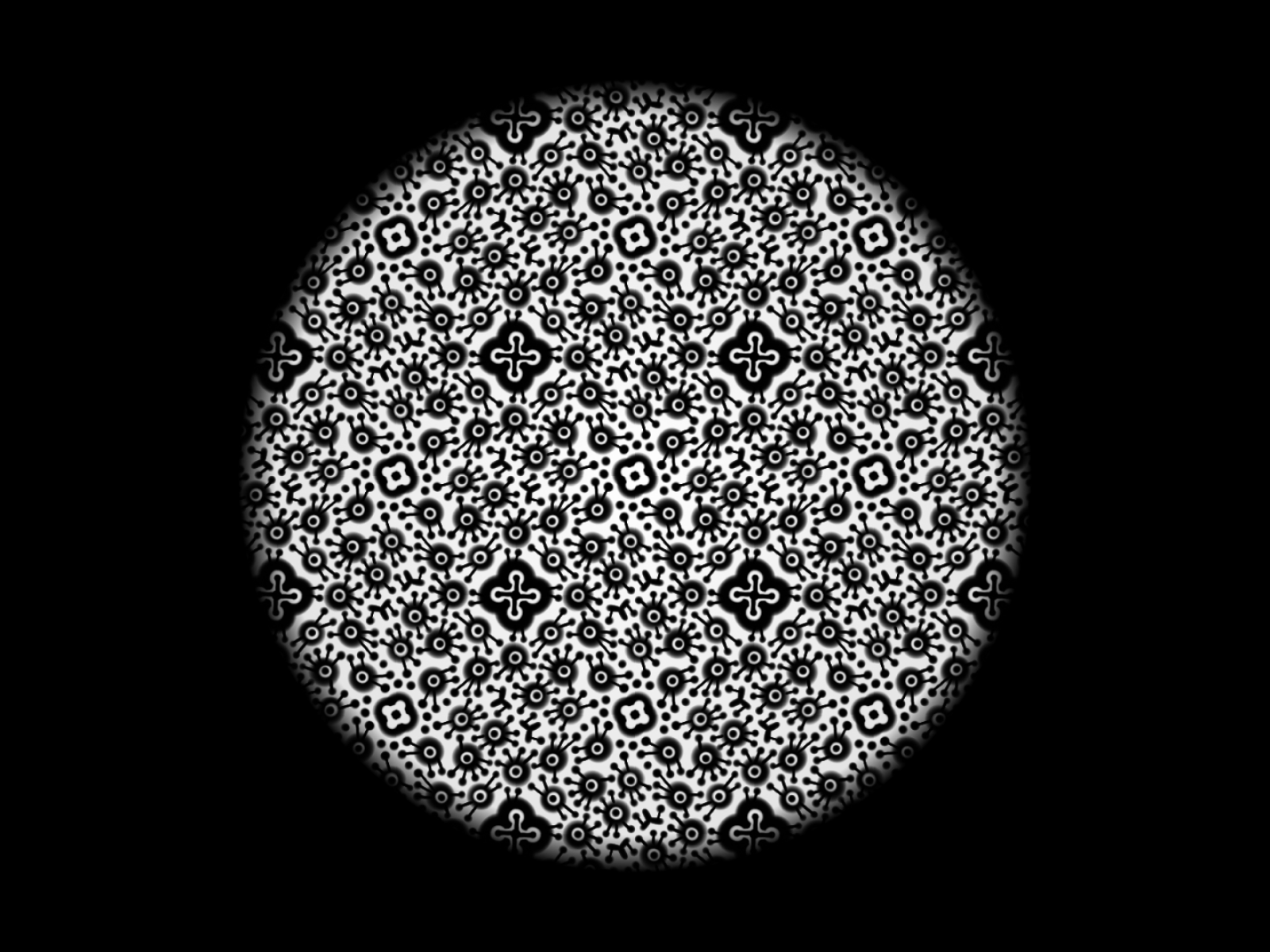 •132•Microscope look• by Symmetrical Patterns on Dribbble