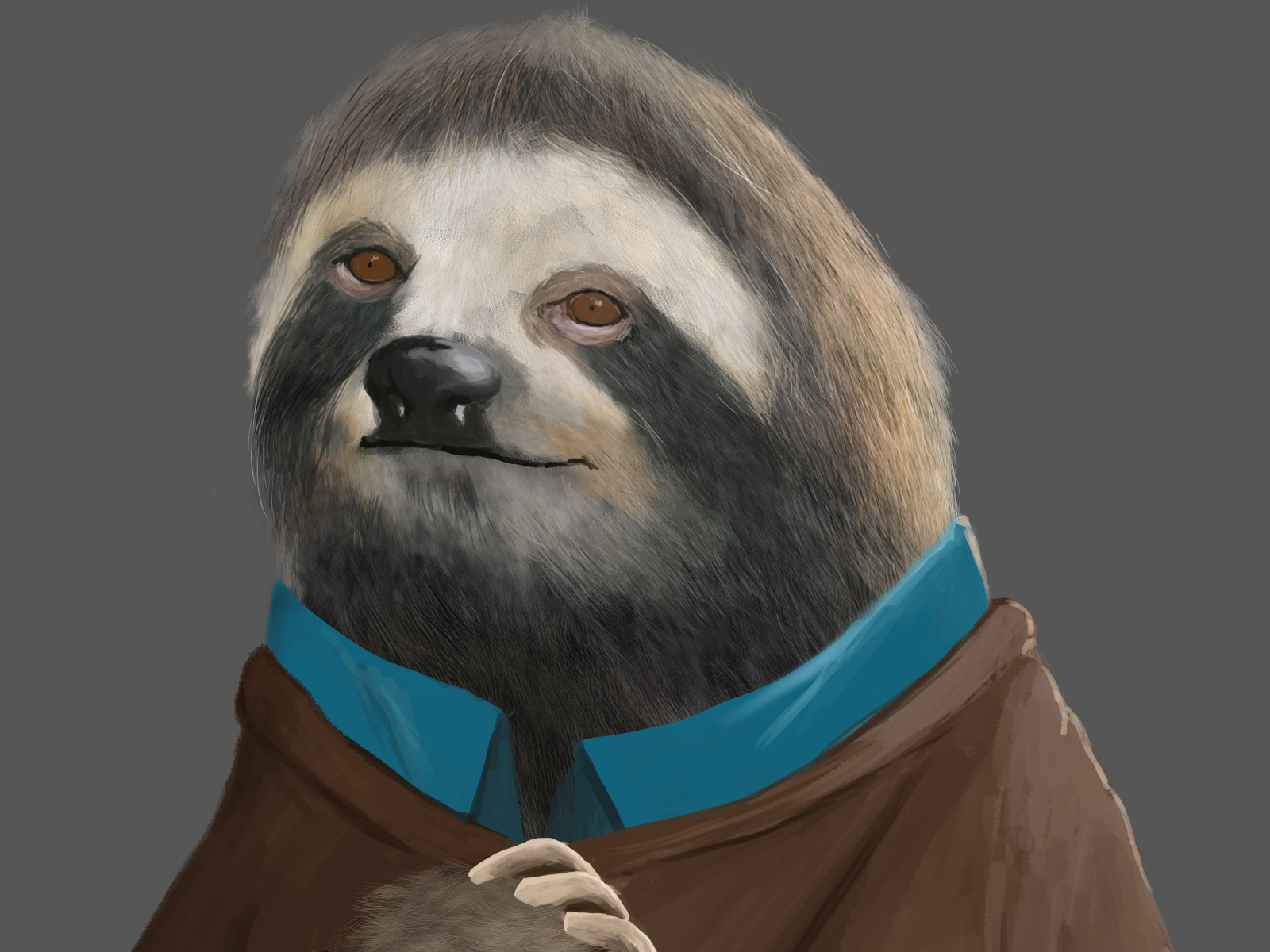 sloth by Mahdi Alizadeh on Dribbble