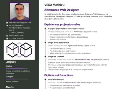 VEGA Mathieu | Dribbble