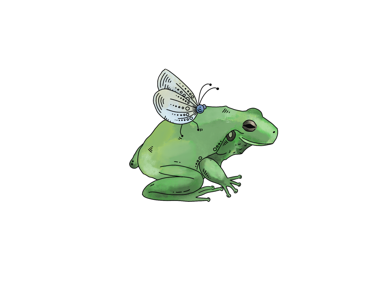 Frog with a moth by Cameryn on Dribbble