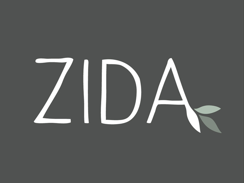ZIDA Logo Design by Carrie Hendrix on Dribbble