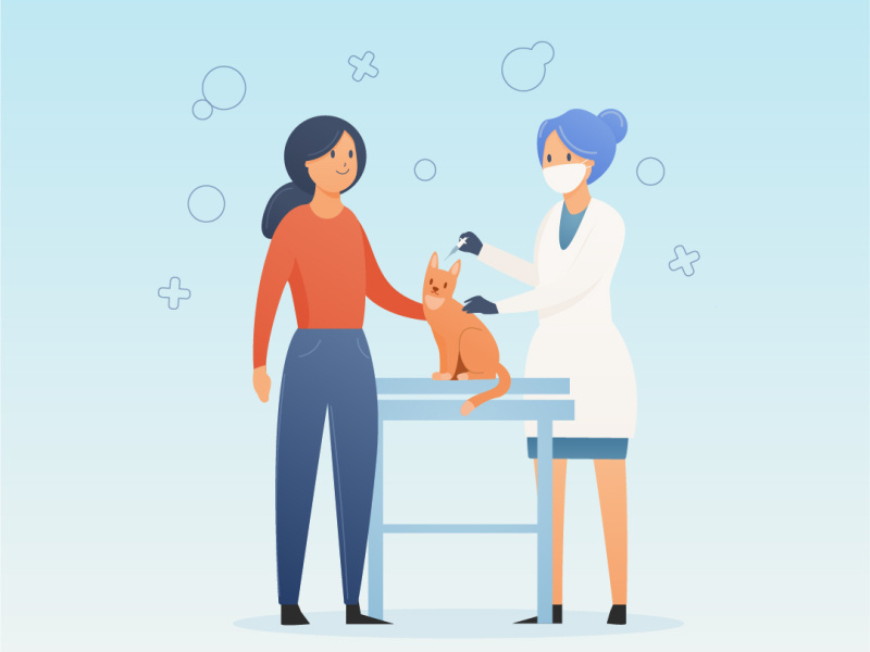 Animal Vaccination by Mila Poluboyarinova on Dribbble