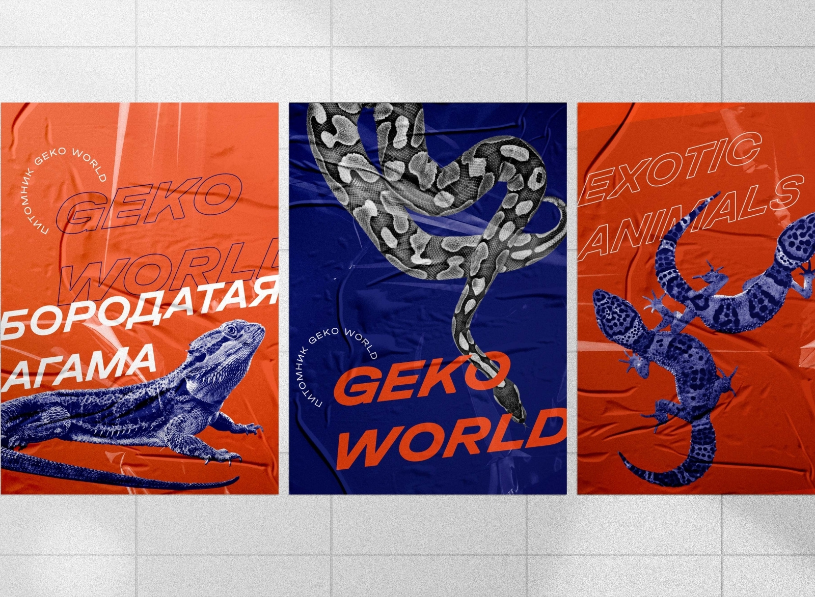 design — Geko world by Лия on Dribbble