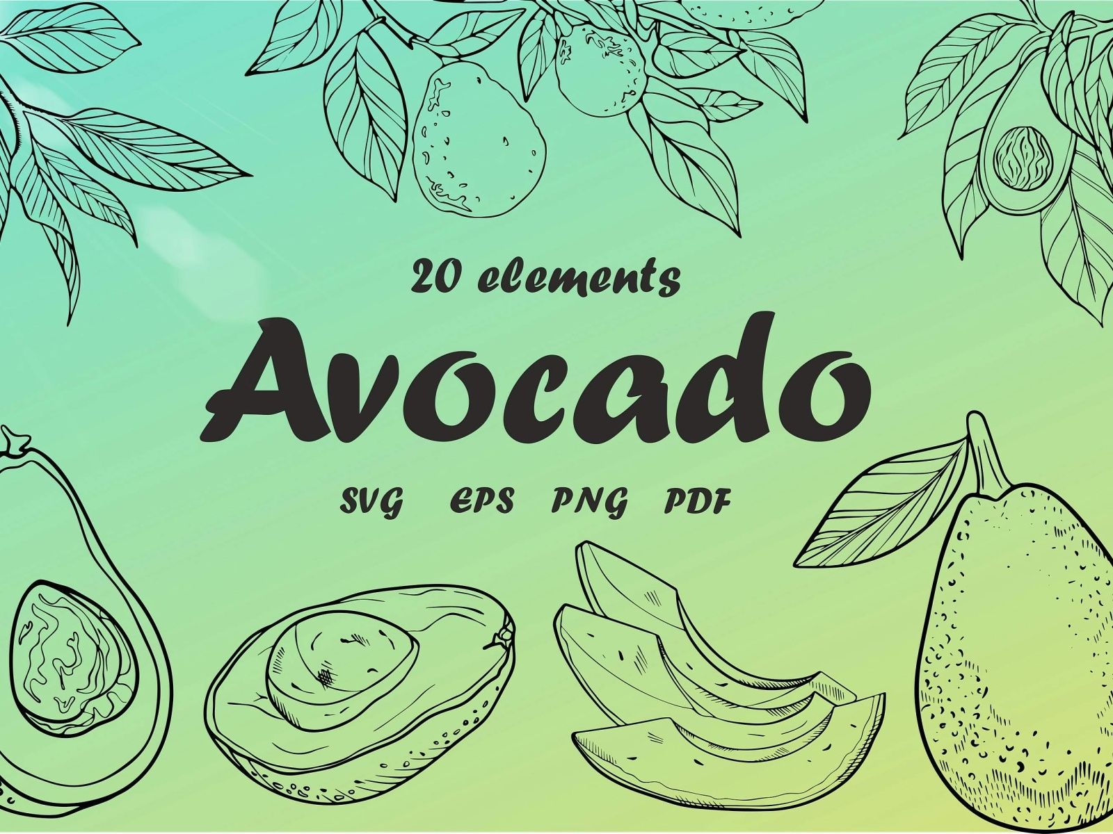 Avocado SVG bundle by Taras on Dribbble