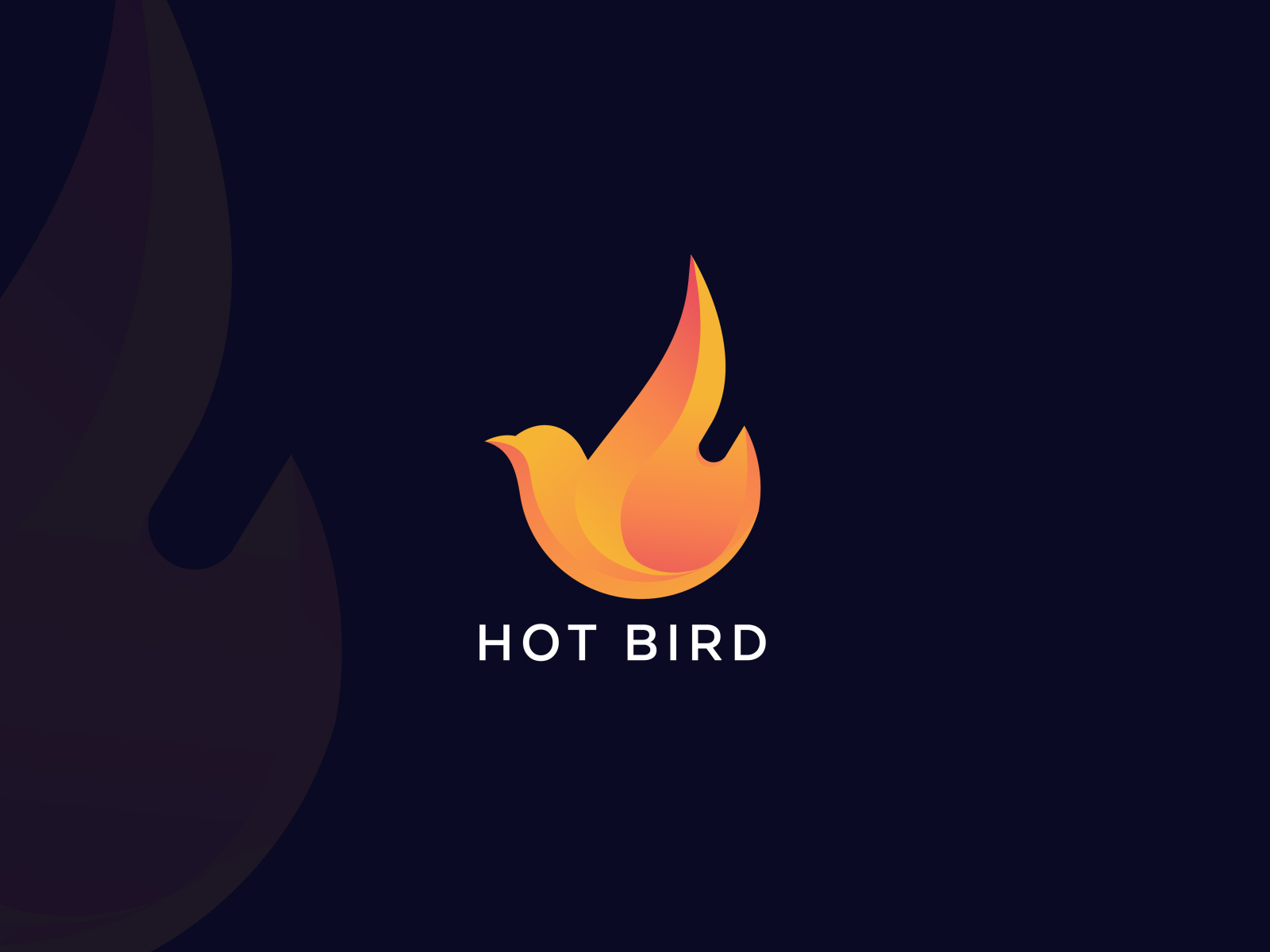 Studio Pixels | Dribbble