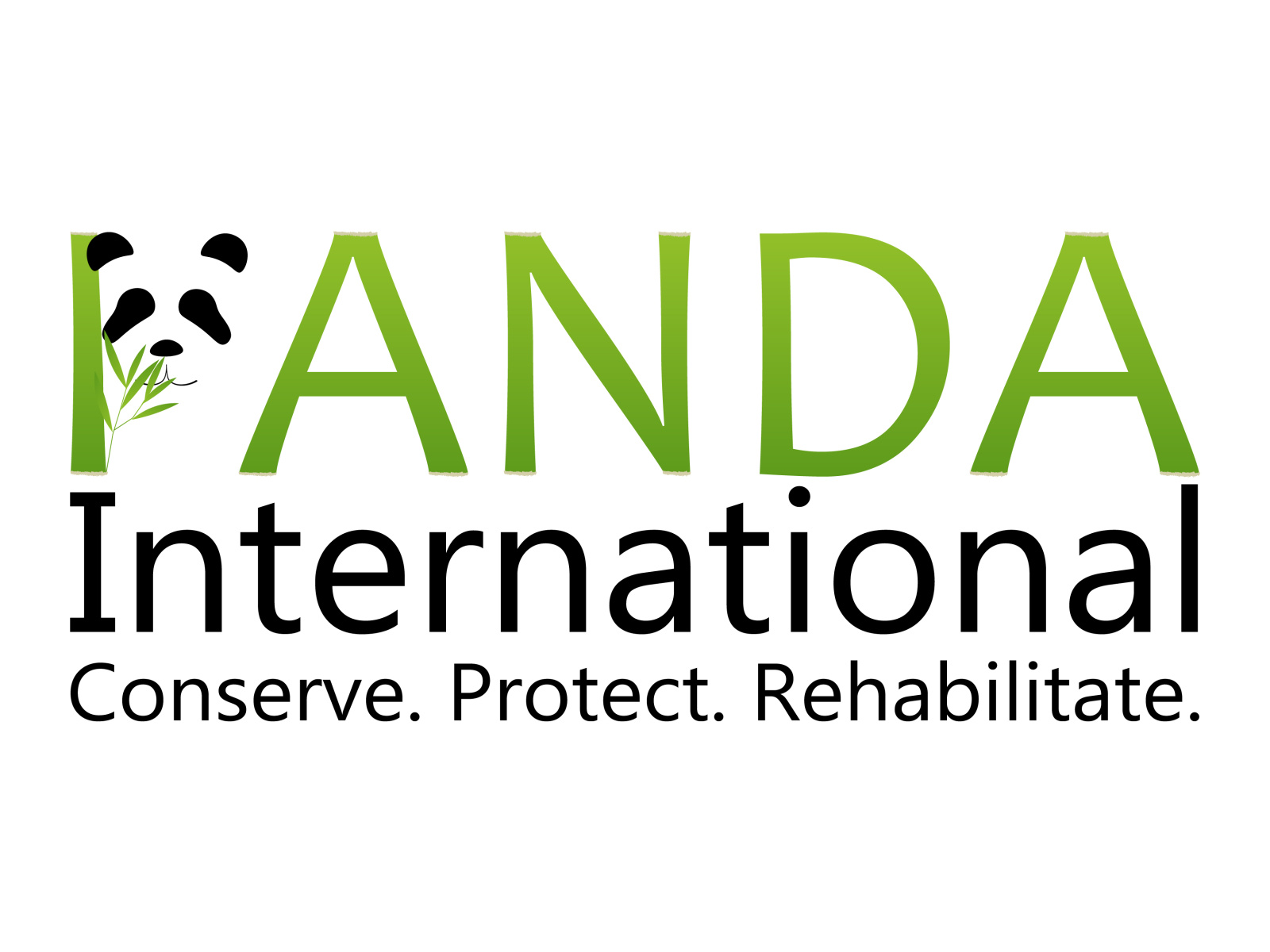 Panda International by Karen Griffin on Dribbble