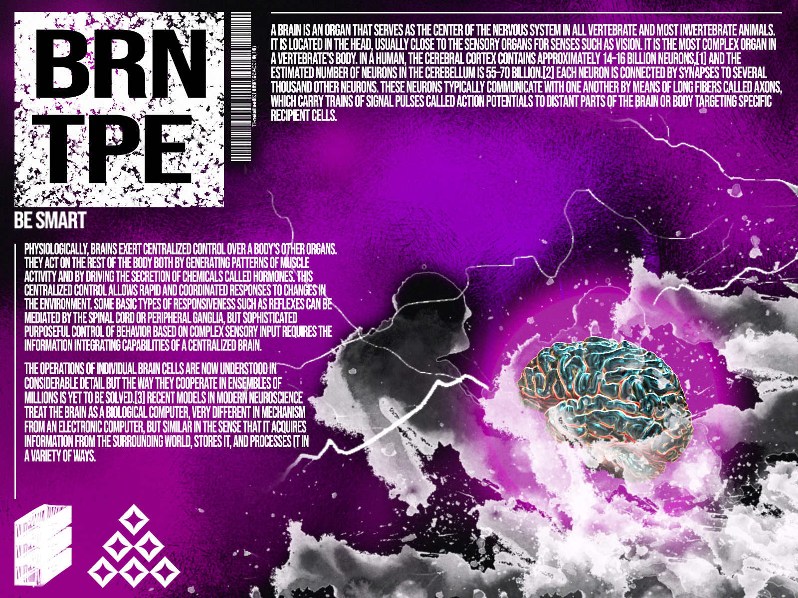 BRAIN TYPE - brochure by Igor Rybakov on Dribbble