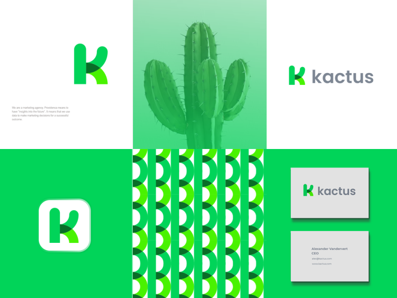 kactus by Badr errouichaq on Dribbble