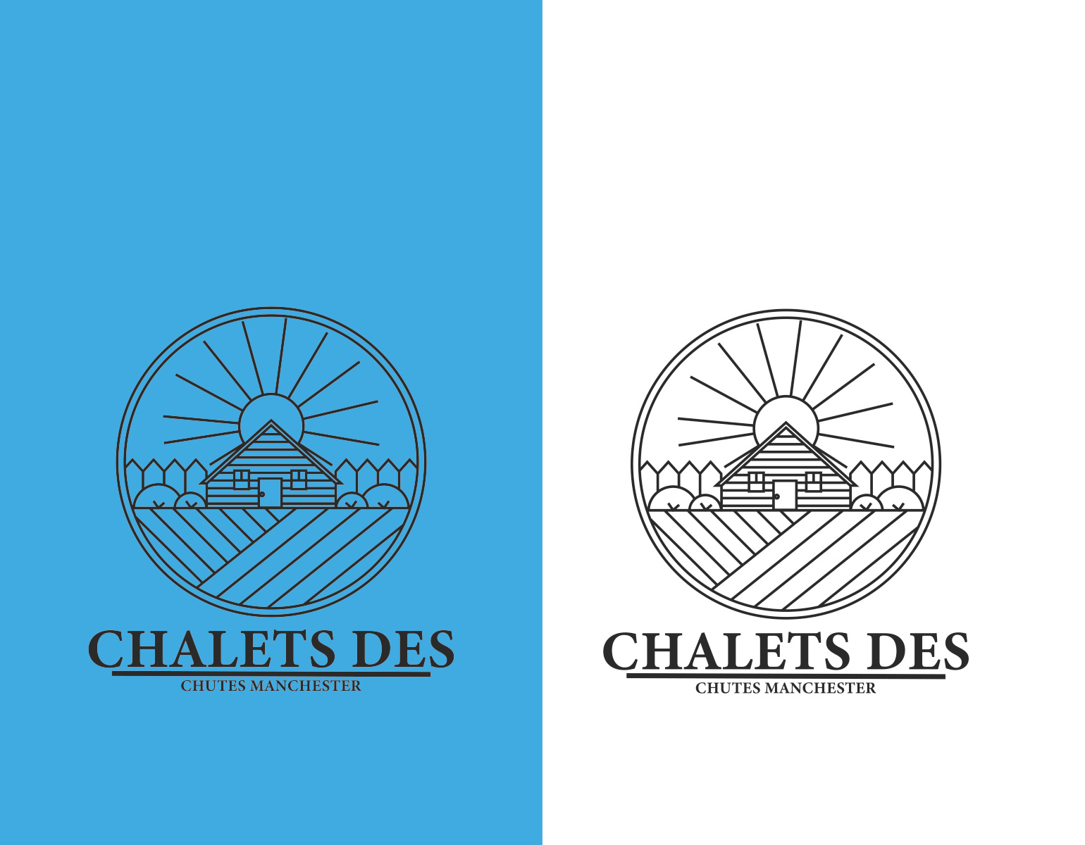 unique logo design by Breezy Borders on Dribbble