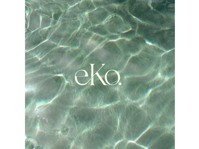 eKo. by Sofie Designs on Dribbble