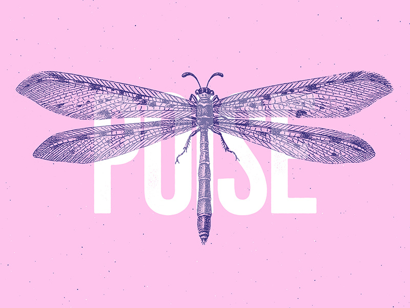 Poise by Attitude on Dribbble