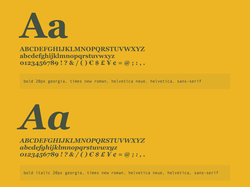 Style Guide Font Example by Nico Hagenburger on Dribbble