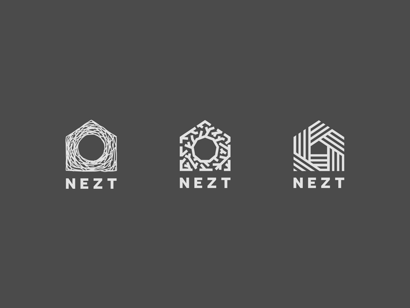 Nezt Home Variations by Vince Boldog on Dribbble