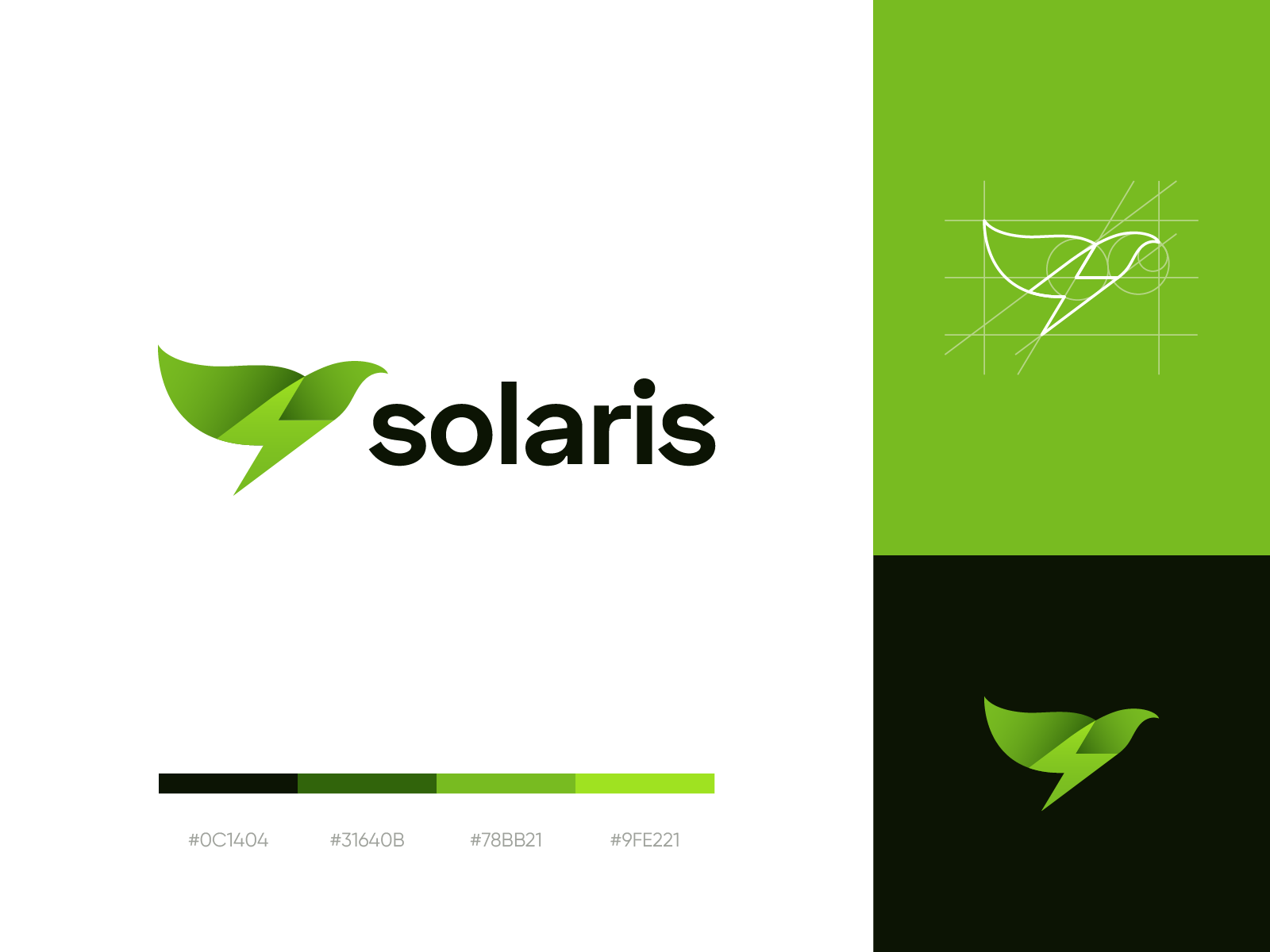 solaris logo by Dmitry Litvinenko for Fireart Studio on Dribbble
