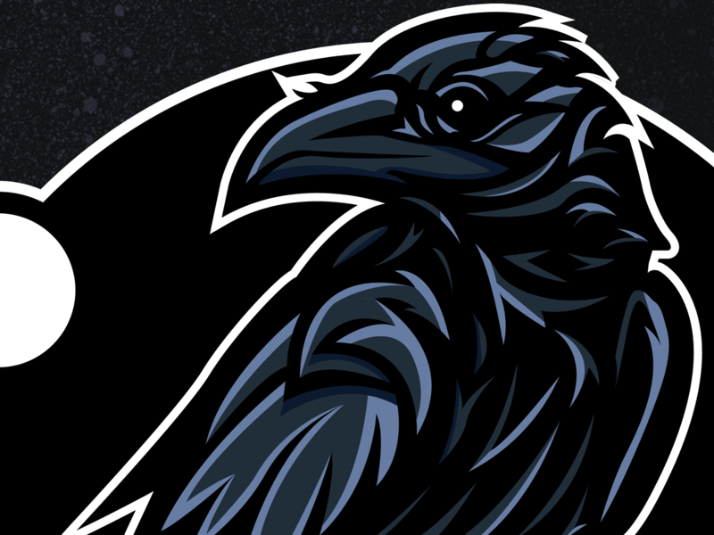 Raven close up by Brad Ludwig on Dribbble