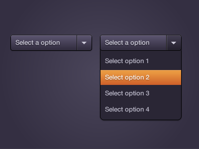 Select an option by Corey Haggard on Dribbble