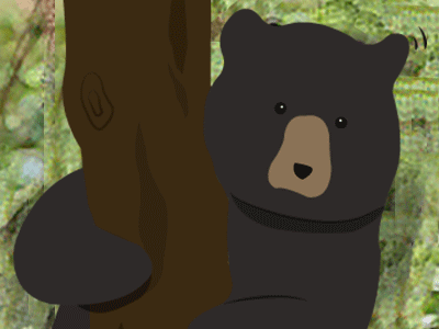 Beary Good by Thea on Dribbble