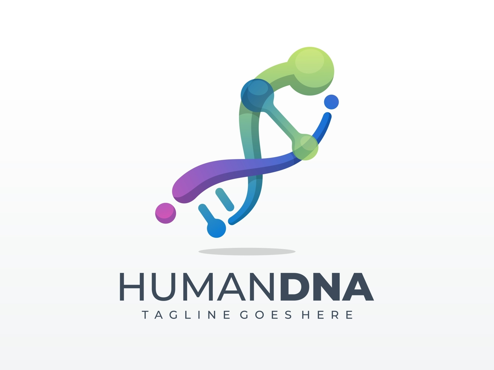 Human DNA genetic symbol Logo by Logo Aim on Dribbble