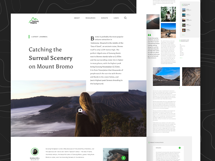 Article Page designs, themes, templates and downloadable graphic ...