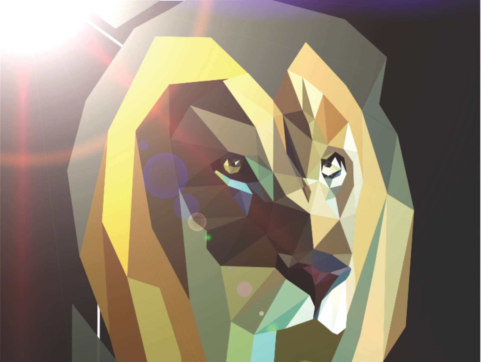The lion by Wesley Pinard on Dribbble