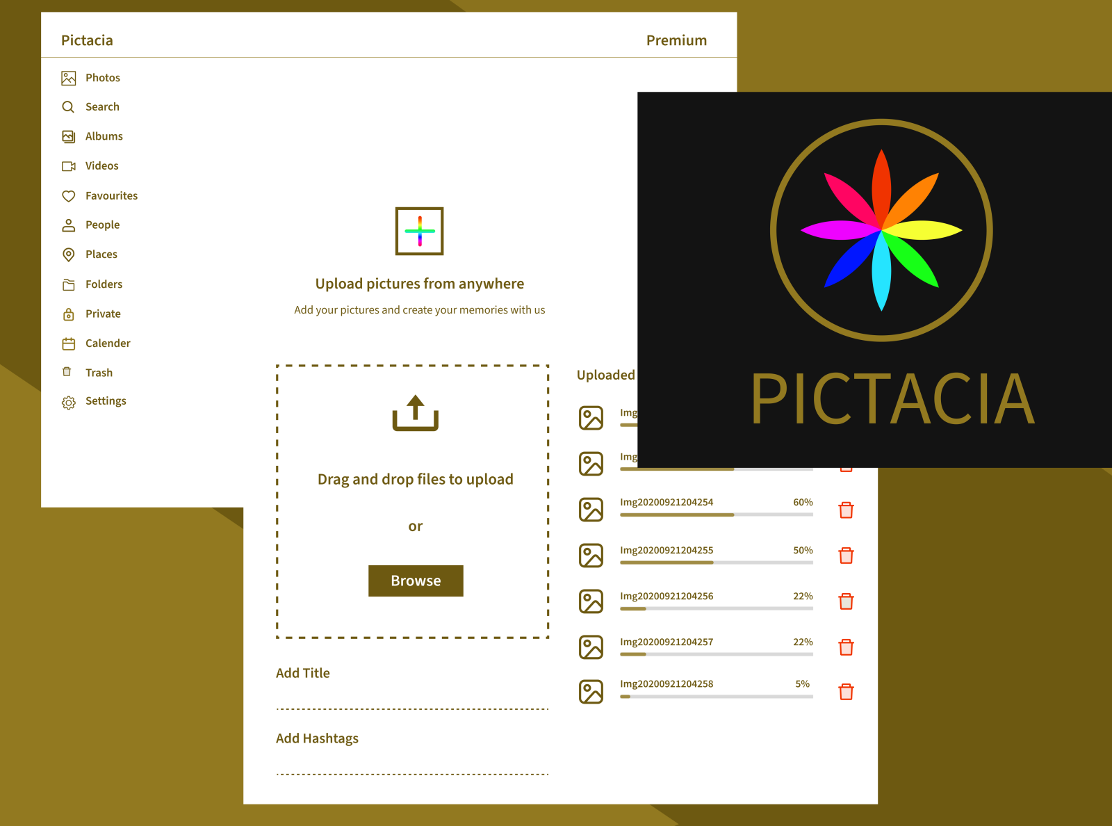 Pictacia - Web based photo gallery by Jansi Alice on Dribbble