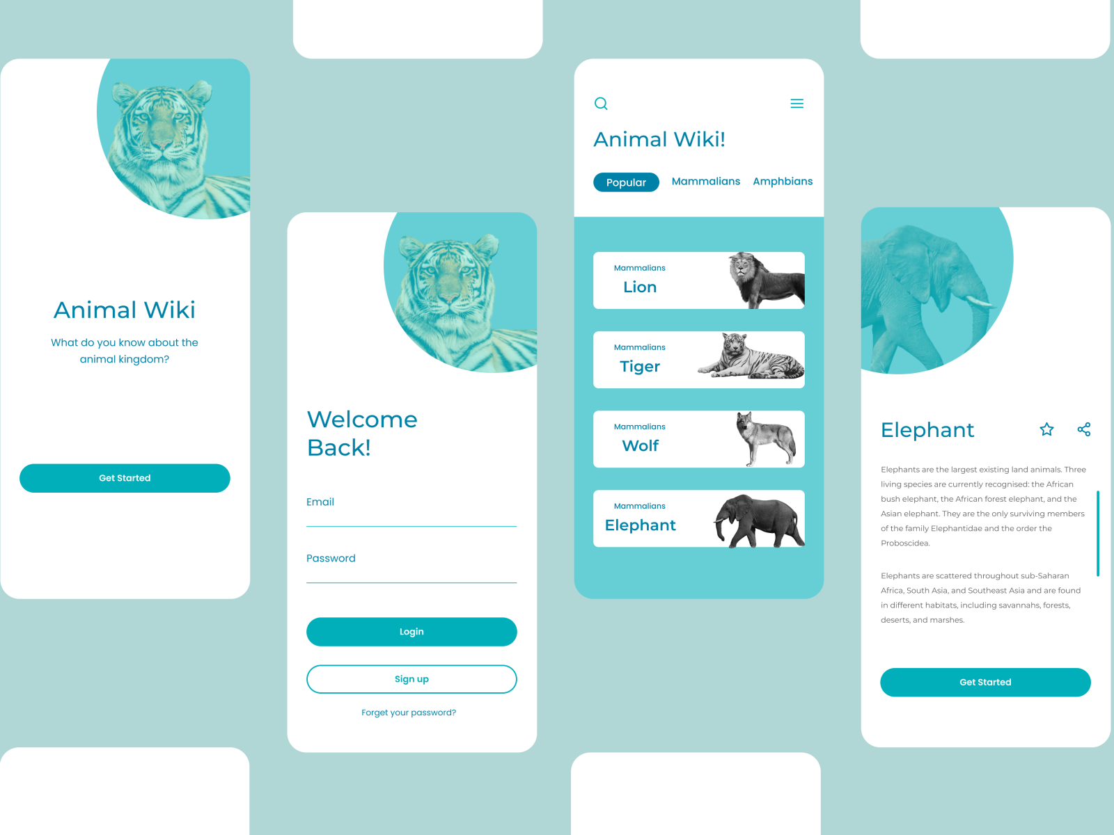 animal wiki app ui by Shan Hussain on Dribbble