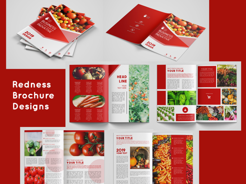 Redness Brochure Designs by Mei Rizal on Dribbble