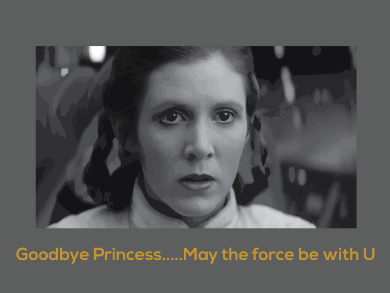 Princess Goodbye by Marko Markovic on Dribbble