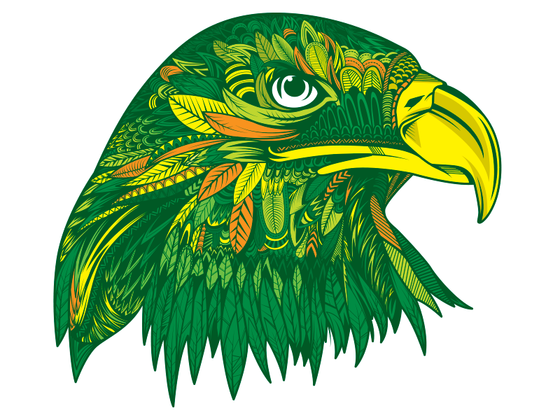 Eagle illustration by Andrei Petrea on Dribbble