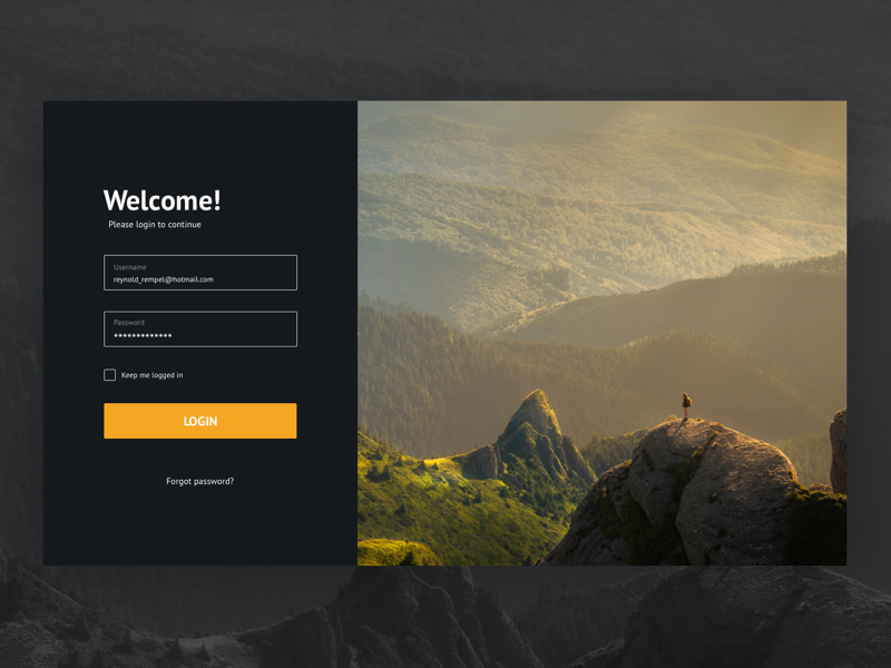 Login UI by vidhukrishnan on Dribbble