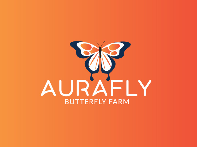 FLY by syeda rifa on Dribbble