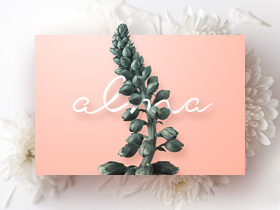 Alma logo by Mike Sattler on Dribbble