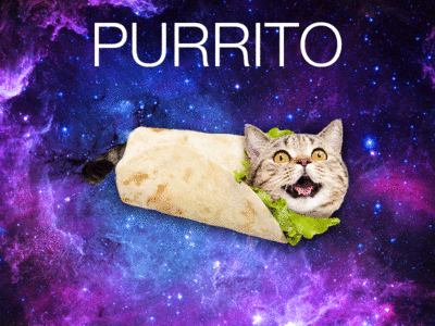 Purrito designs, themes, templates and downloadable graphic elements on ...