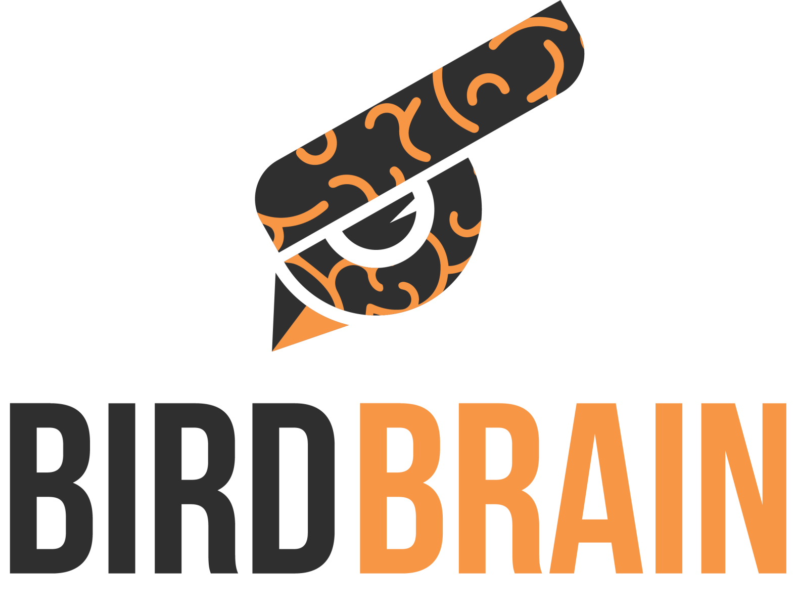 BIRDBRAIN Logo by Christian Ricafort on Dribbble