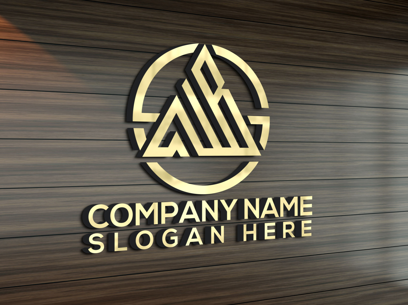 Modern Letter Logo Design by Tawsifur Rahman on Dribbble